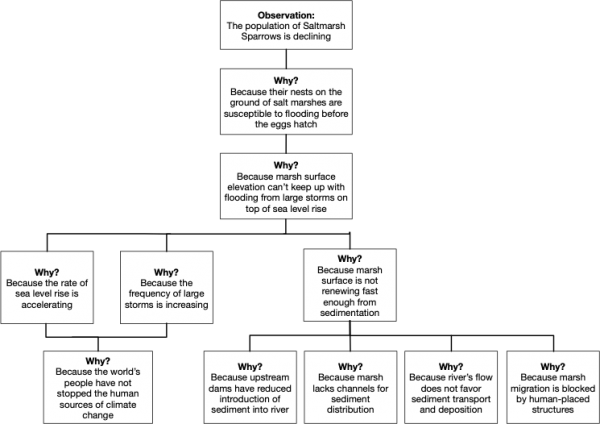 Solving Environmental Problems - Estuary Magazine: For people who care ...