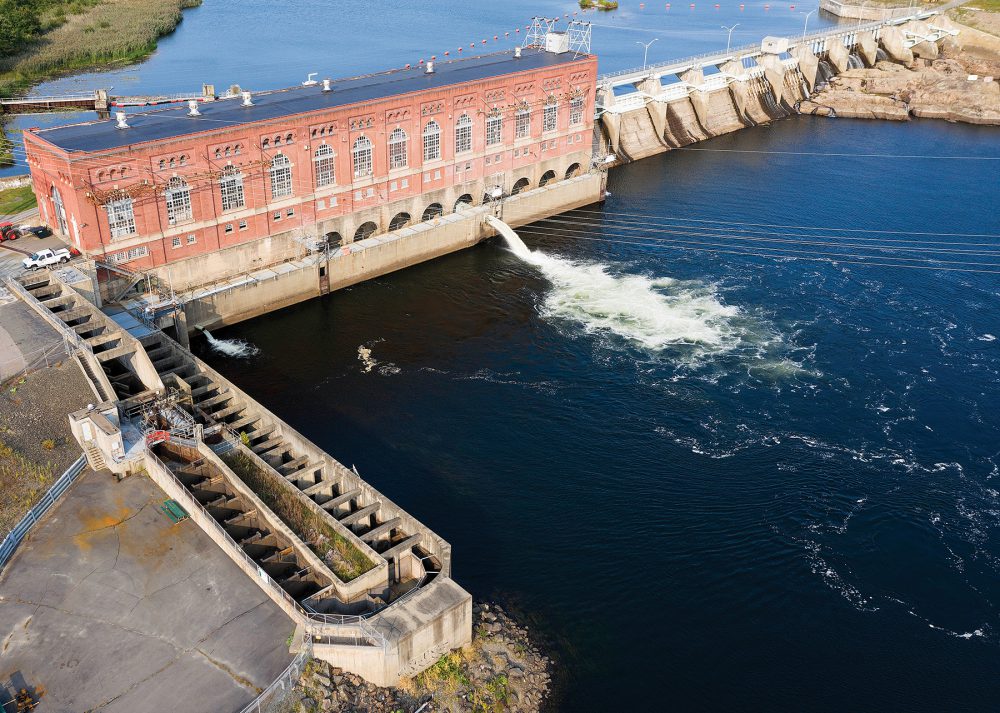 Up and Over, Clearing Obstacles to Reach Habitat - Estuary Magazine ...