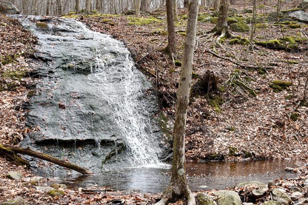 New England's First State Forest - Estuary Magazine: For people who ...