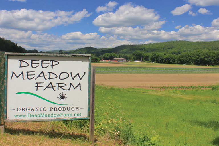 Organic Bounty from Windsor Soils - Estuary Magazine: For people who ...