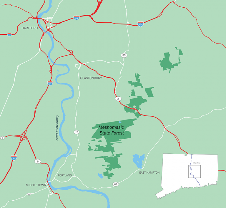 New England's First State Forest - Estuary Magazine: For people who ...